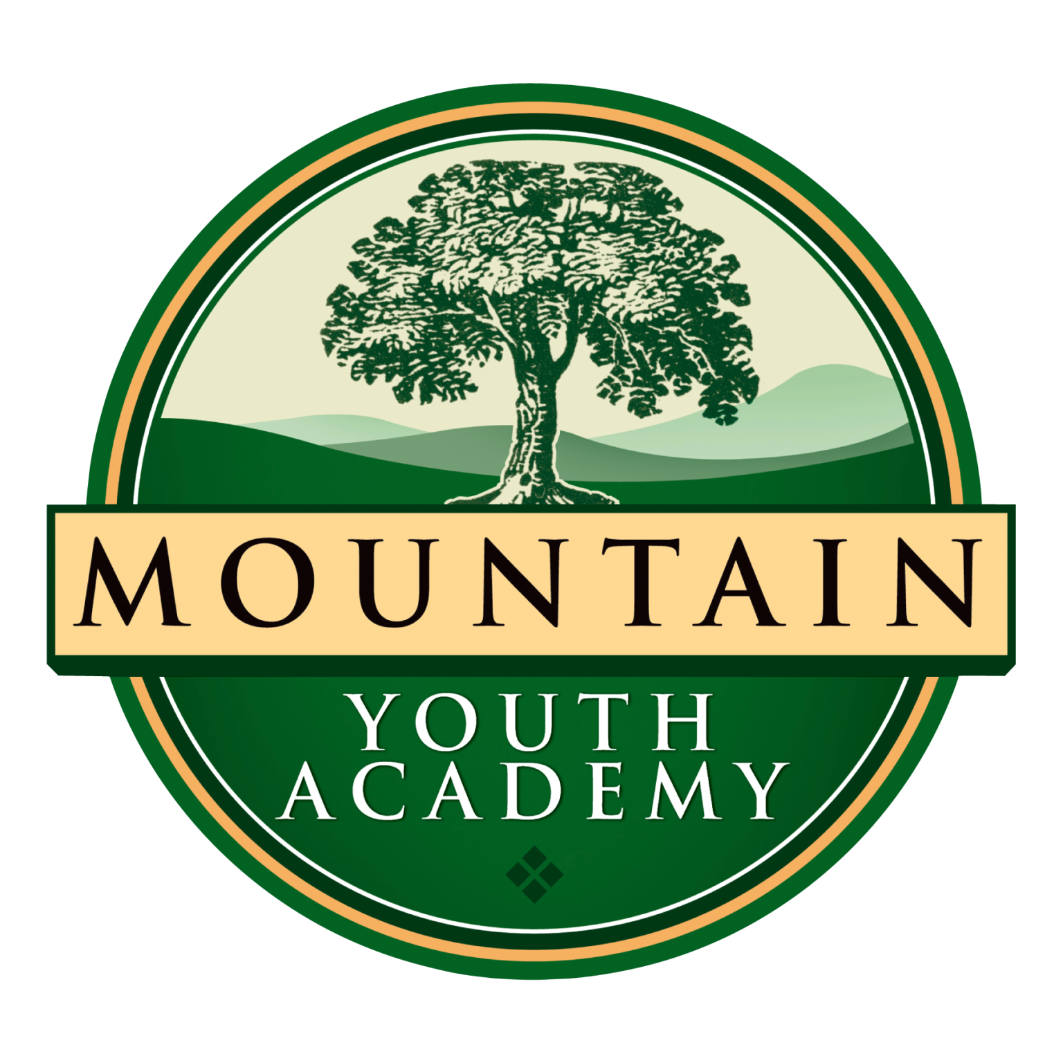 UHS - Mountain Youth Academy - MuniStrategies